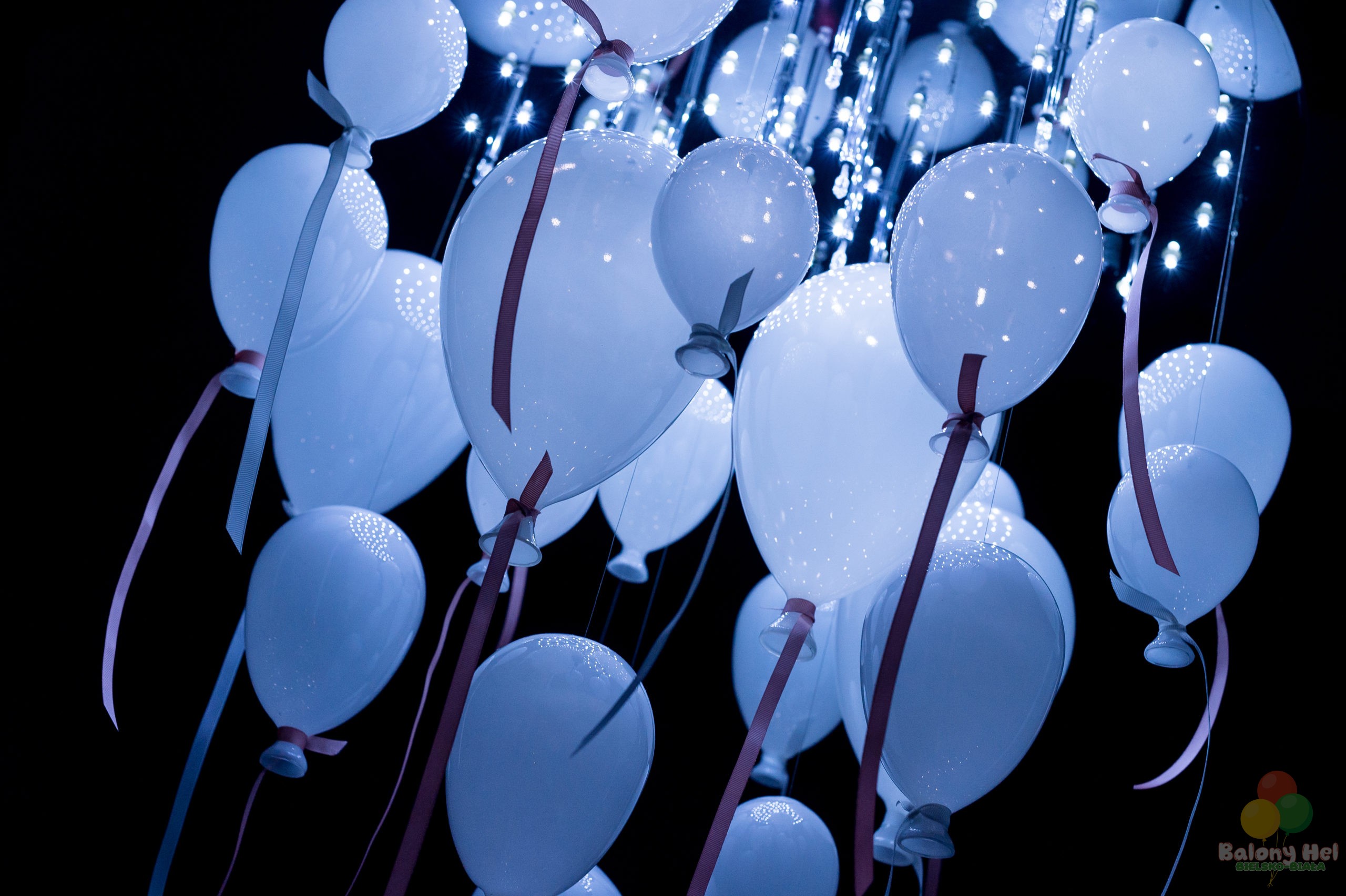 Balon Rekin Bielsko Biała - Dekoracje balonowe Bielsko Biała